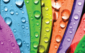 Basofix - P & Bari Gloss Precipitated Barium Sulphate